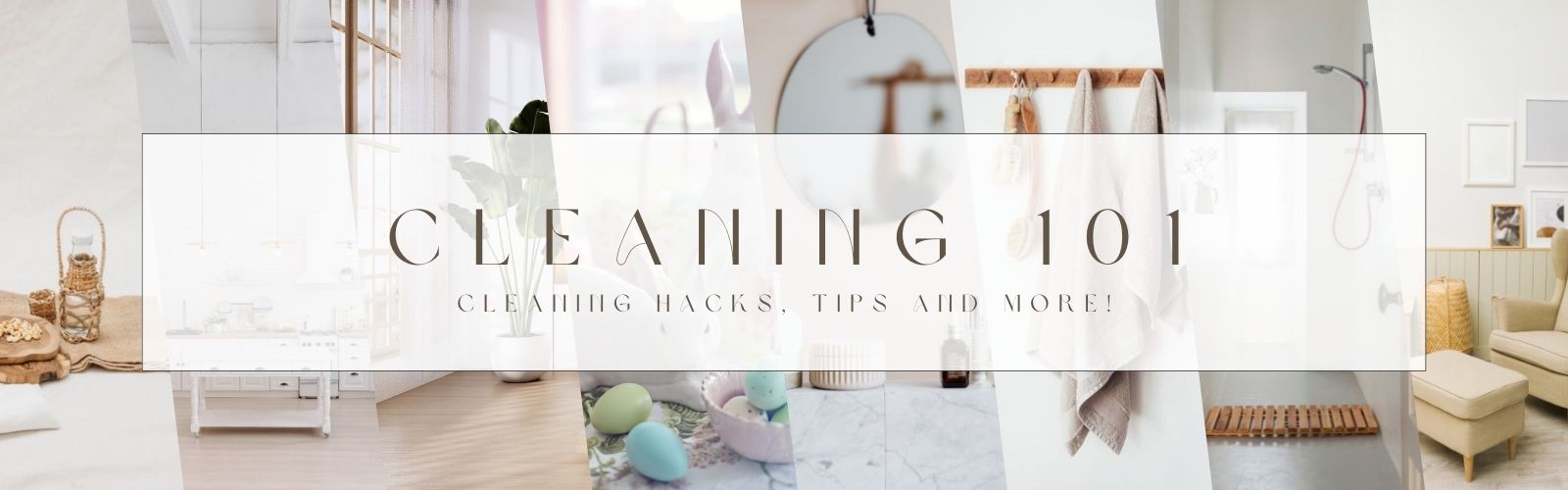 Cleaning 101 - Budget Cleaning & Housekeeping Svcs